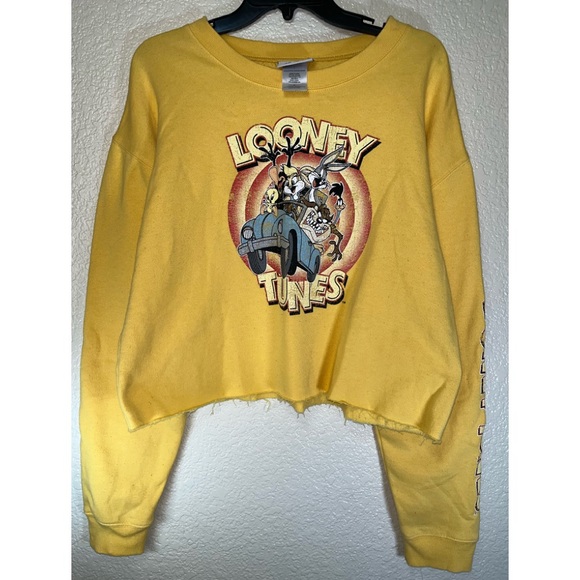 Warner Bros. | Sweaters | Used Looney Tunes Cropped Sweater 9s Look ...